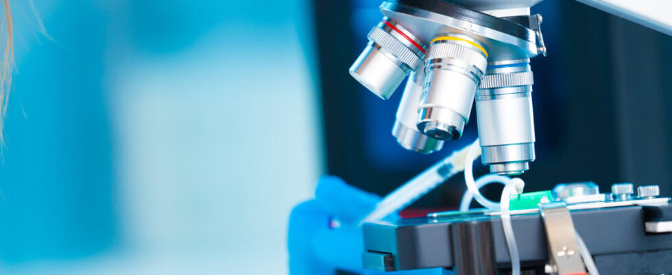 Home - BioMedical Engineering and Imaging Institute